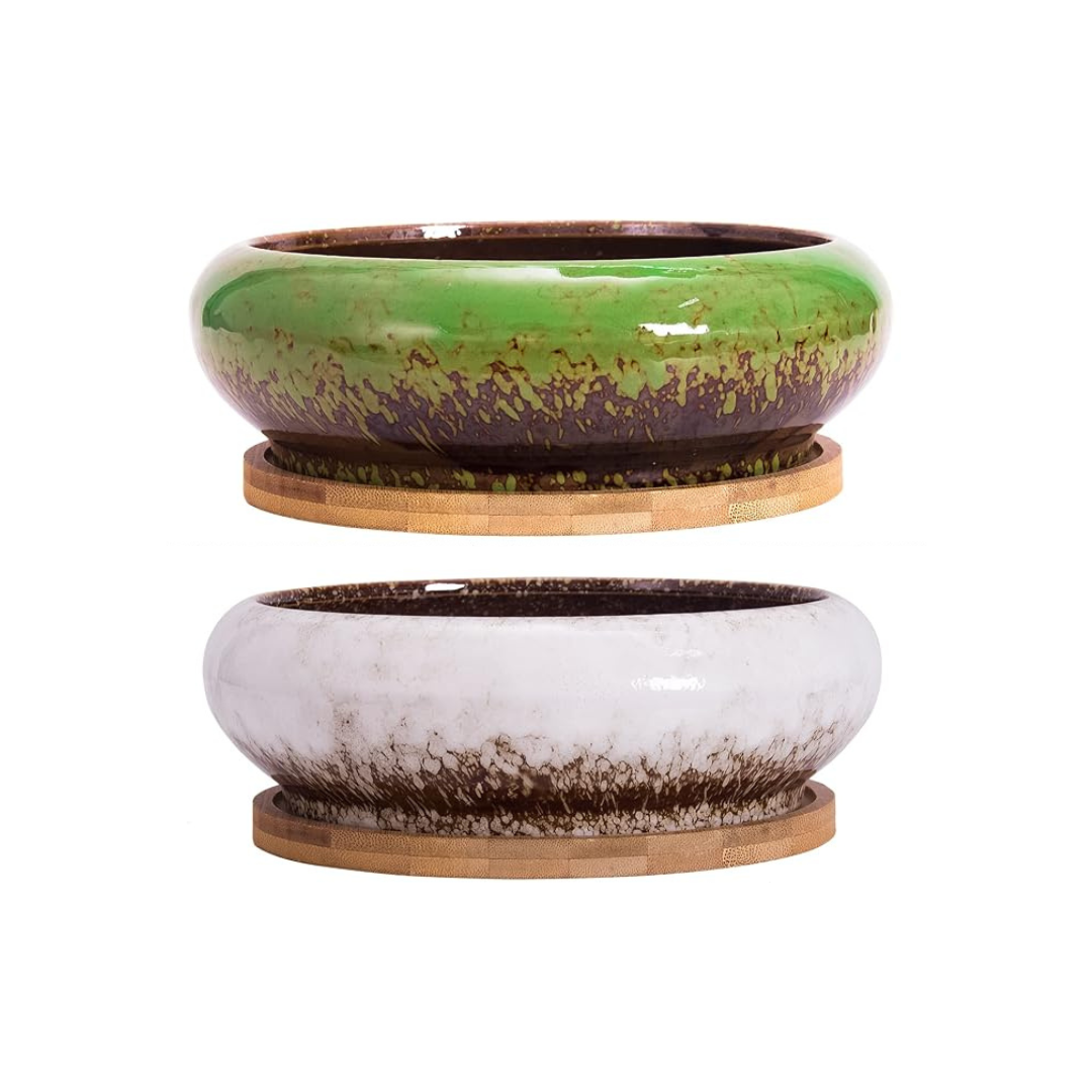 Potting Adventures: Exploring the World of Plant Pots – Cozy Nook Interiors